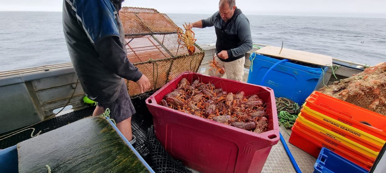 RCG Marches On Into 2022 - Rural Connectivity