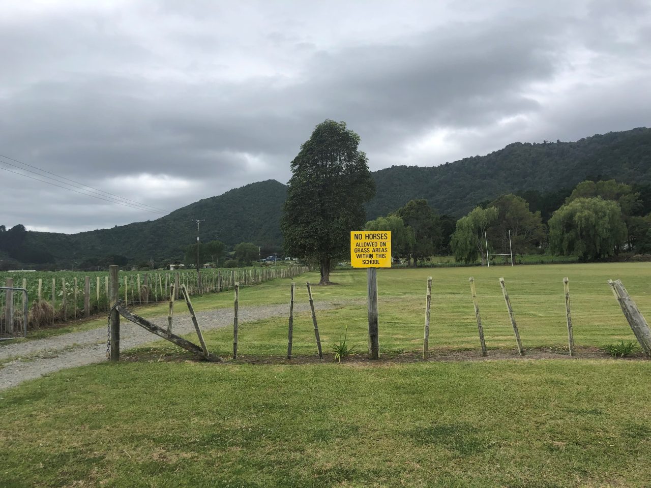 RCG Marches On Into 2022 - Rural Connectivity